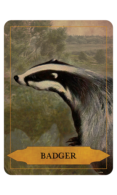 Animal Spirits of the Sacred Isles Oracle