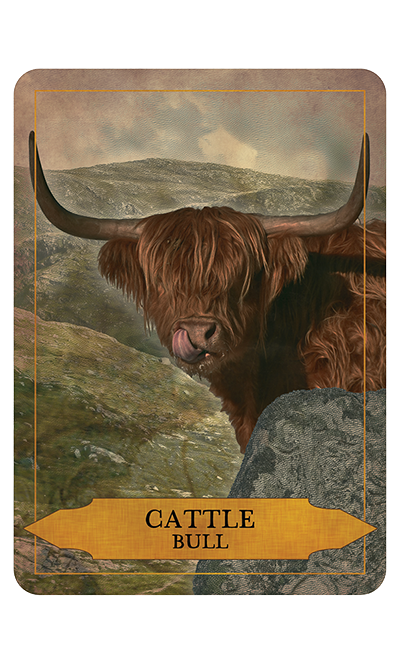 cattle-bull – Lyn Thurman