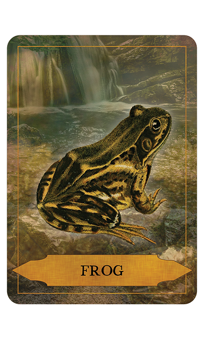 frog – Lyn Thurman
